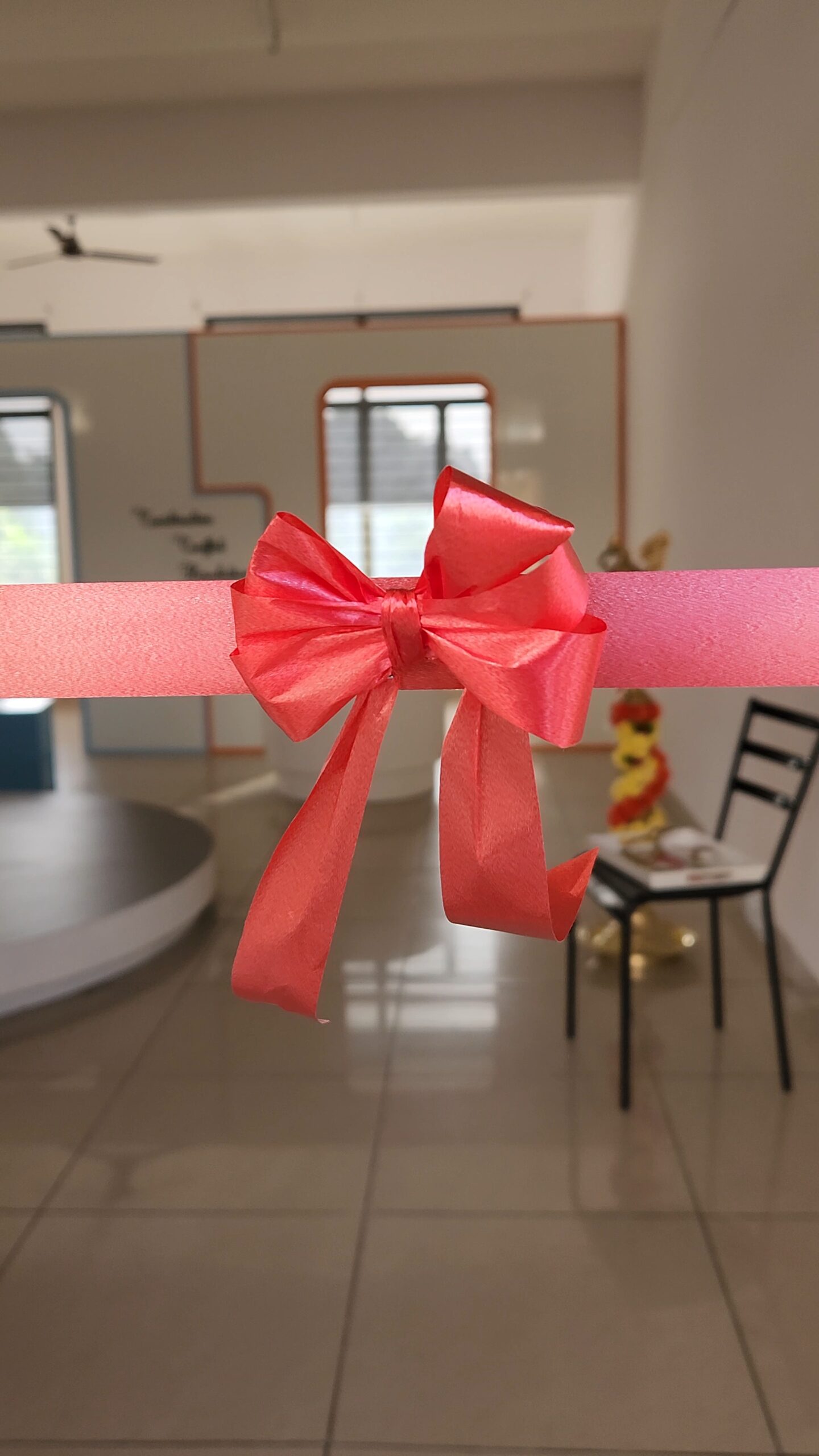 Catalyst Lab Inauguration – Appollo National Public School