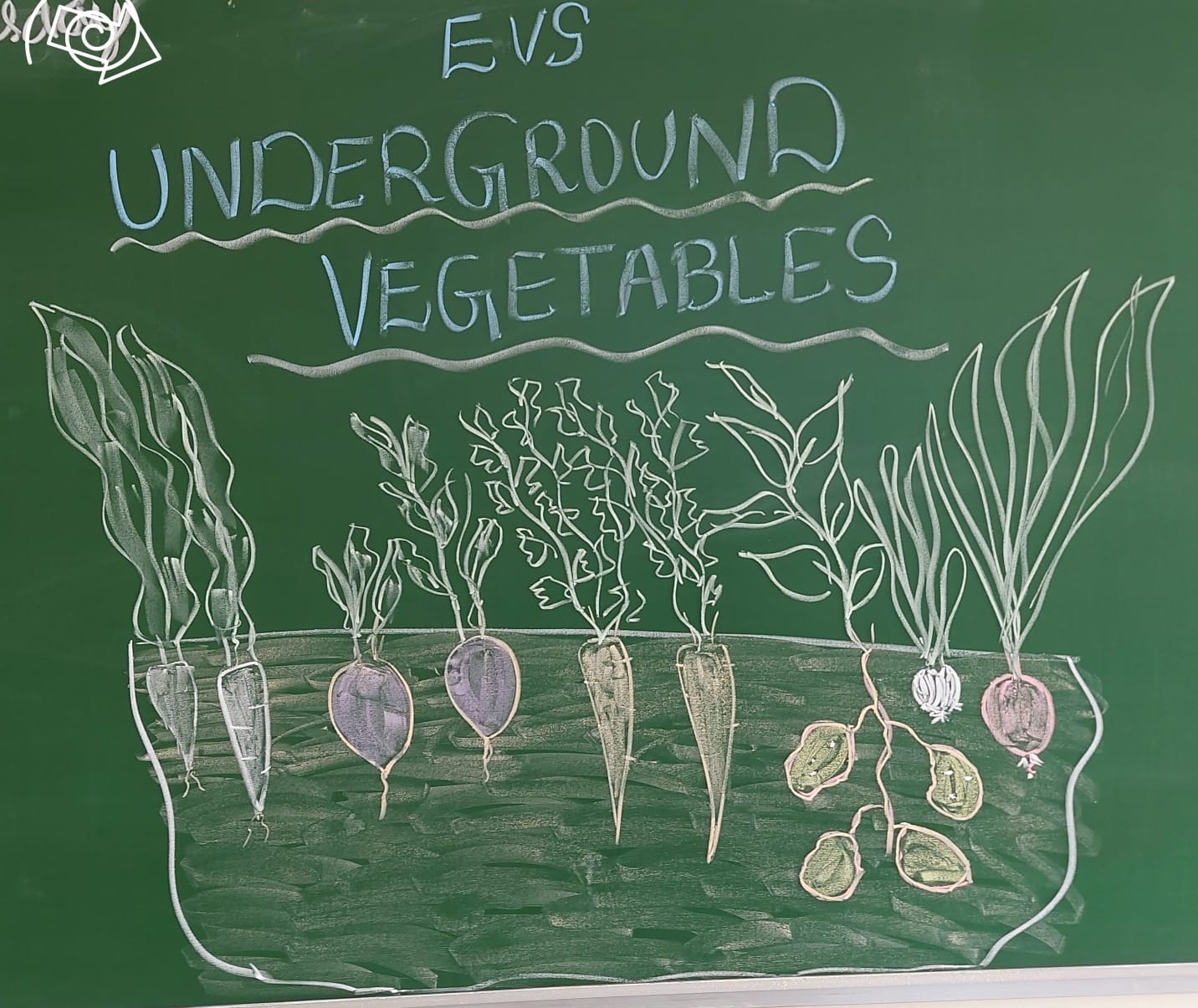 Playgroup 3 - Underground Vegetables Activity – Appollo National Public ...