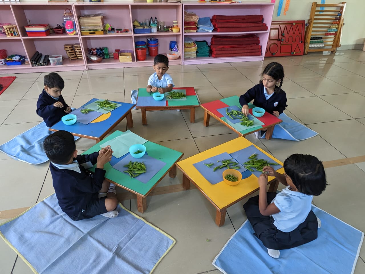 Playgroup 1 - EPL activity Shelling of peas – Appollo National Public ...