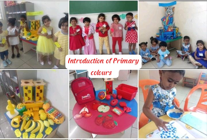 Playgroup 1 - PRIMARY COLOUR INTRODUCTION – Appollo National Public School